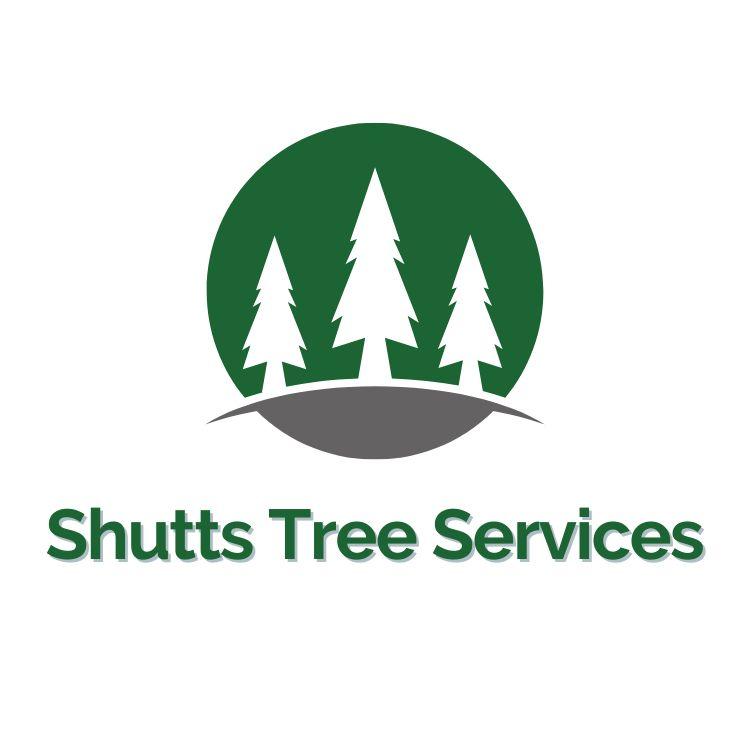 A Homeowner's Comprehensive Guide to Tree Care – Shutts Tree Services